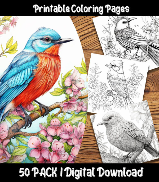 Bird Coloring Pages Printable 50 Pack | Happy Colorist