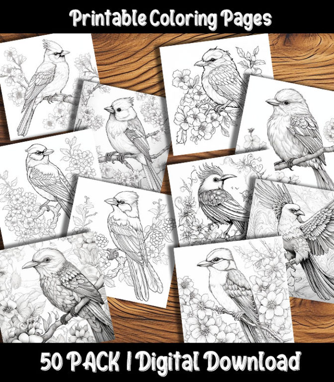Bird Coloring Pages Printable 50 Pack | Happy Colorist