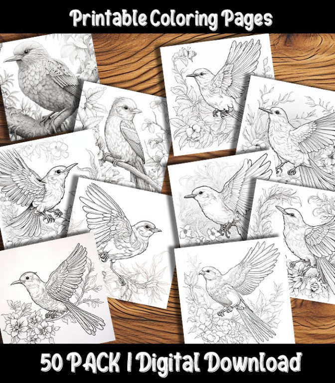 Bird Coloring Pages Printable 50 Pack | Happy Colorist