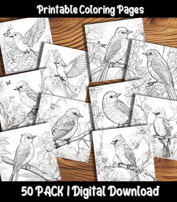 Bird Coloring Pages Printable 50 Pack | Happy Colorist