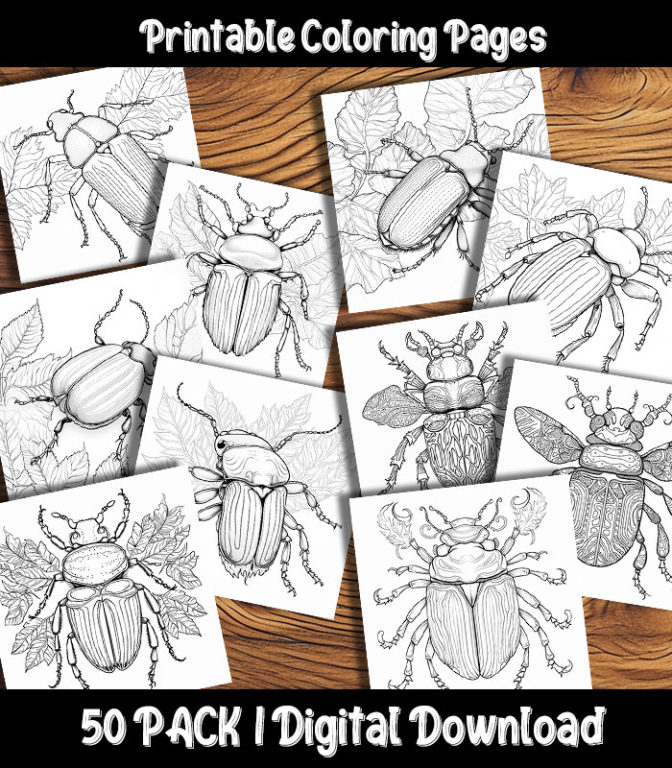Beetle Coloring Pages Printable 50 Pack | Happy Colorist