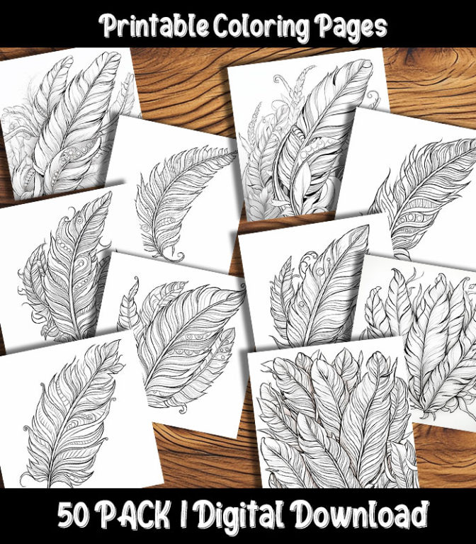 Feather Coloring Pages Digital 50 Pack | Happy Colorist