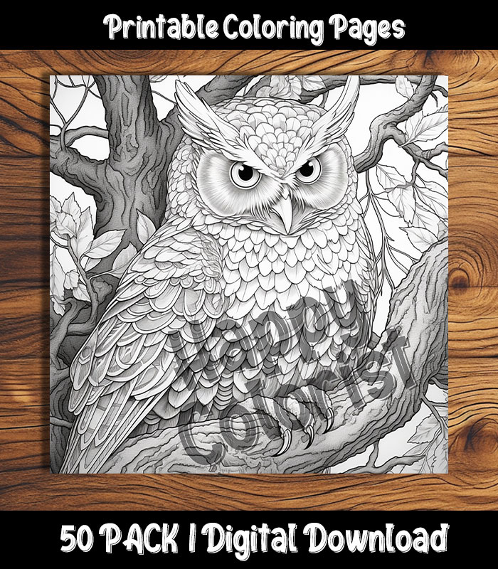 Owl Coloring Pages Digital 50 Pack | Happy Colorist