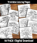 Tree Coloring Pages Digital 50 Pack | Happy Colorist
