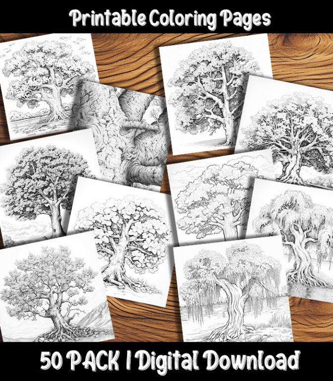 Tree Coloring Pages Digital 50 Pack | Happy Colorist