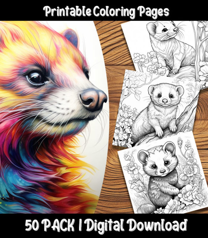 Ferret Coloring Pages Digital 50 Pack | Happy Colorist