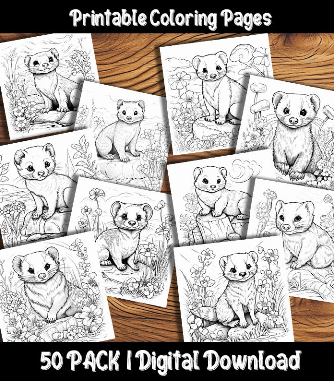 Ferret Coloring Pages Digital 50 Pack | Happy Colorist