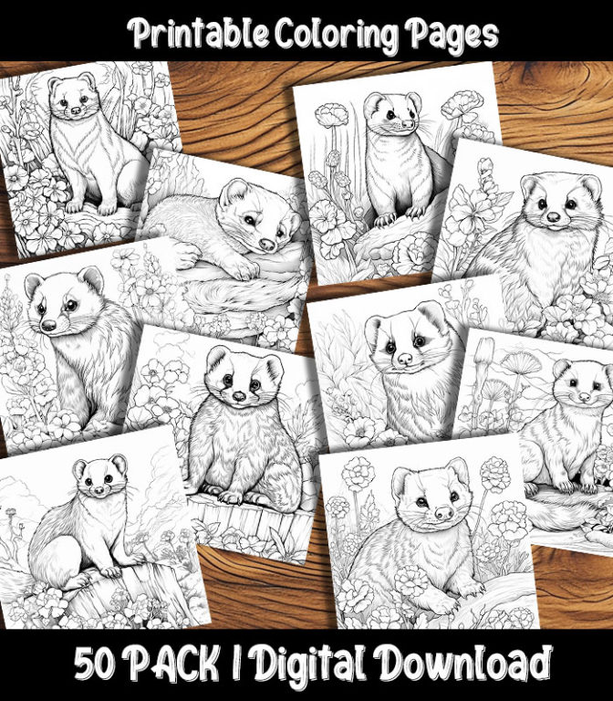 Ferret Coloring Pages Digital 50 Pack | Happy Colorist