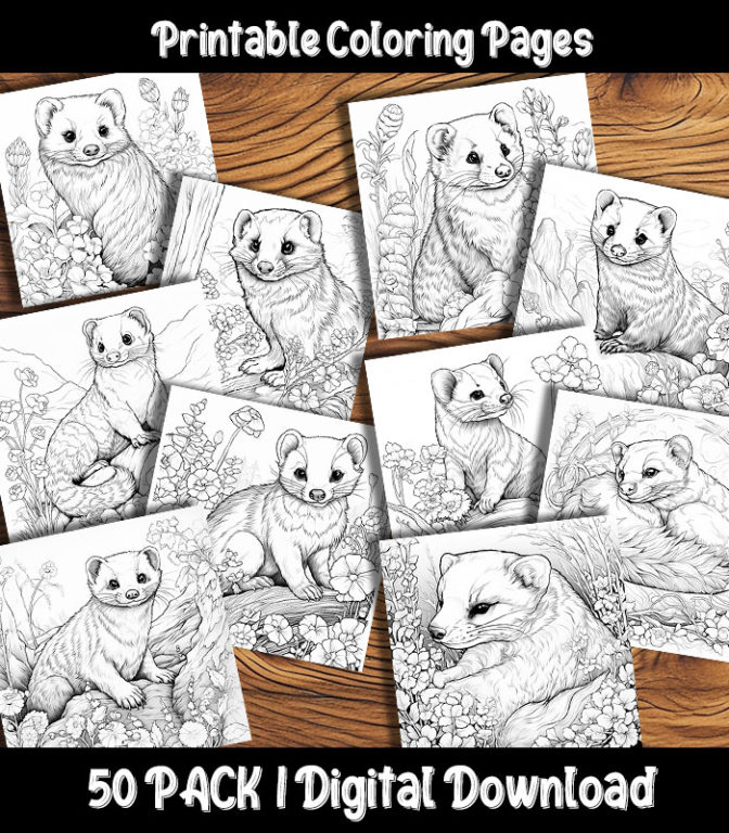 Ferret Coloring Pages Digital 50 Pack | Happy Colorist