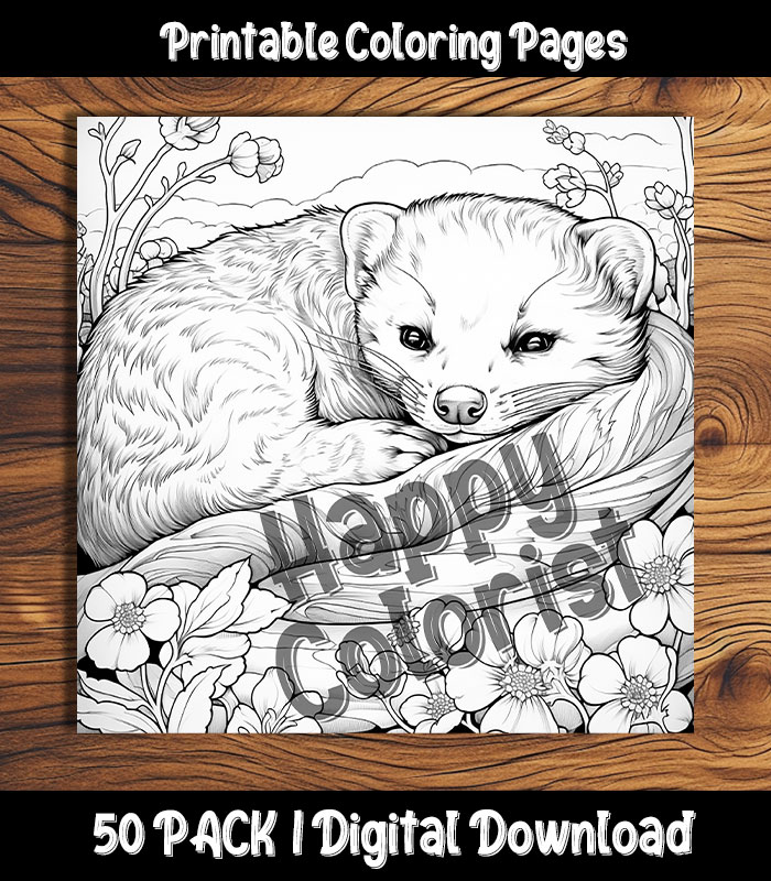 Ferret Coloring Pages Digital 50 Pack | Happy Colorist