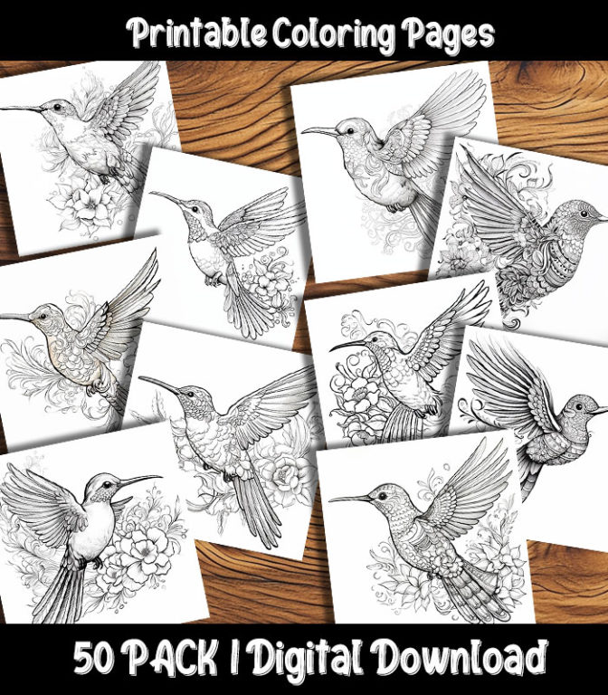 Hummingbird Coloring Pages 50 Pack | Happy Colorist