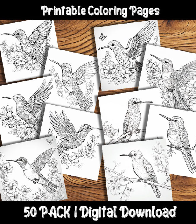 Hummingbird Coloring Pages 50 Pack | Happy Colorist