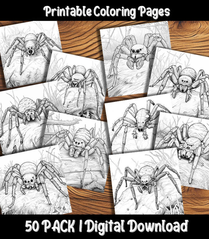 Spider Coloring Page Digital 50 Pack | Happy Colorist
