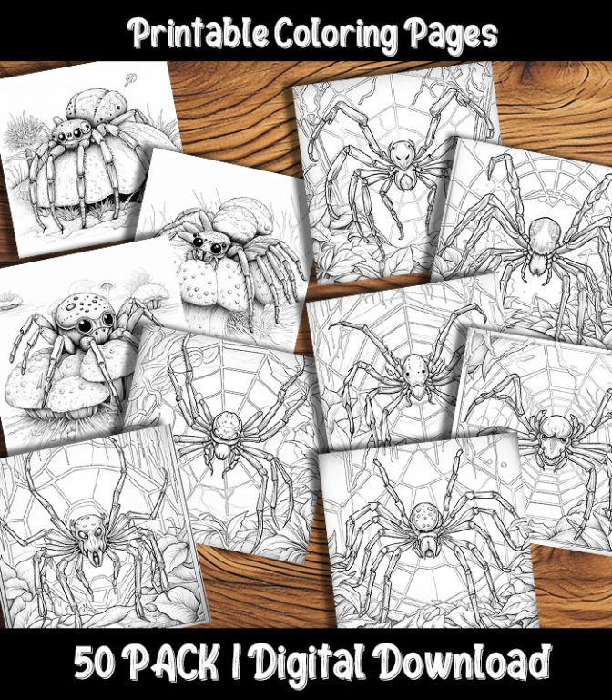 Spider Coloring Page Digital 50 Pack | Happy Colorist