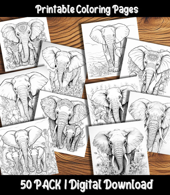 Elephant Coloring Pages Digital 50 Pack | Happy Colorist