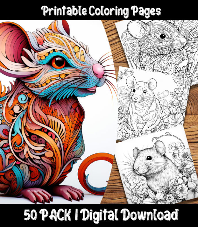 Rats Coloring Pages Digital 50 Pack | Happy Colorist