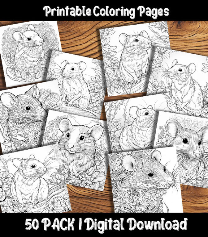 Rats Coloring Pages Digital 50 Pack | Happy Colorist