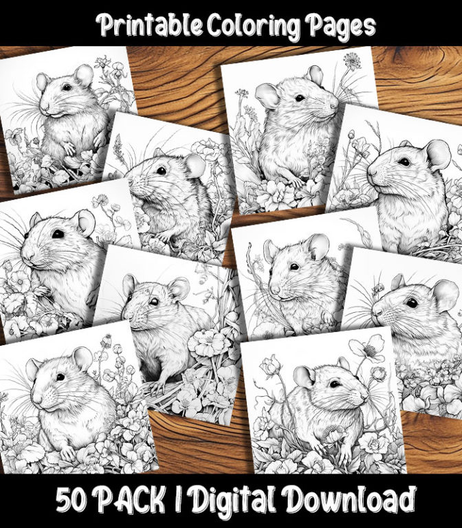 Rats Coloring Pages Digital 50 Pack | Happy Colorist