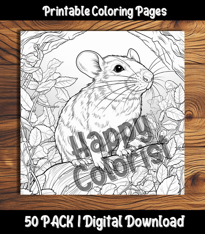 Rats Coloring Pages Digital 50 Pack | Happy Colorist