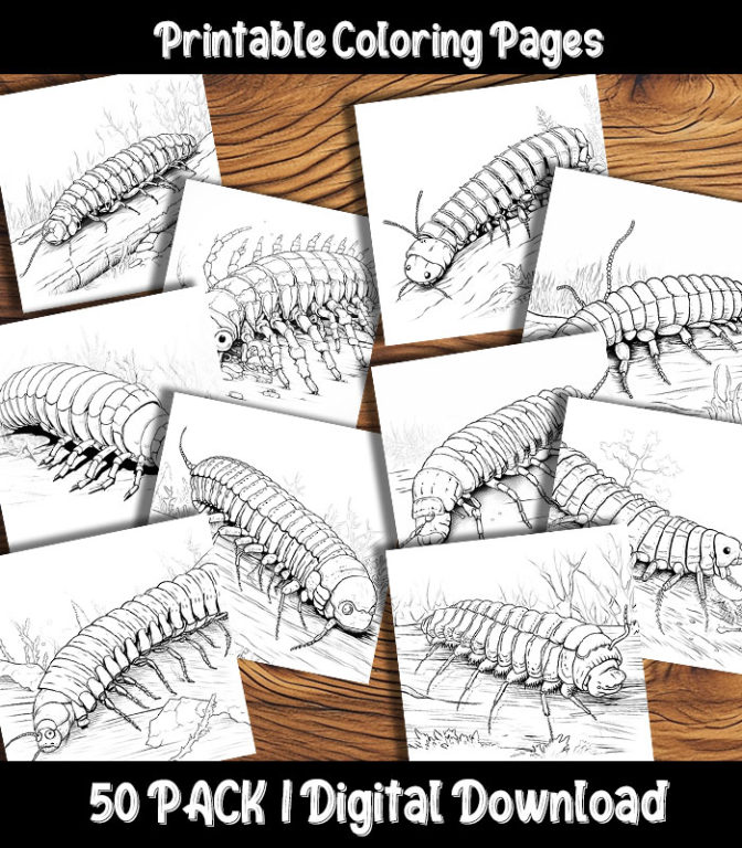 Centipede Coloring Pages Digital 50 Pack | Happy Colorist