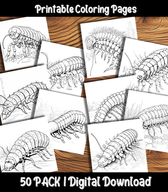 Centipede Coloring Pages Digital 50 Pack | Happy Colorist