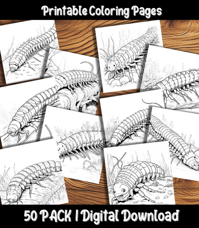 Centipede Coloring Pages Digital 50 Pack | Happy Colorist