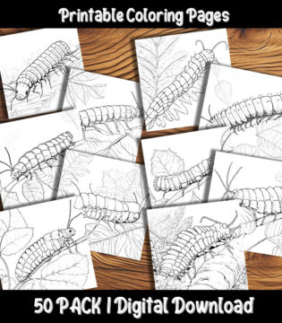 Centipede Coloring Pages Digital 50 Pack | Happy Colorist
