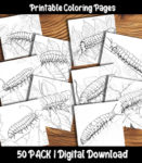 Centipede Coloring Pages Digital 50 Pack | Happy Colorist