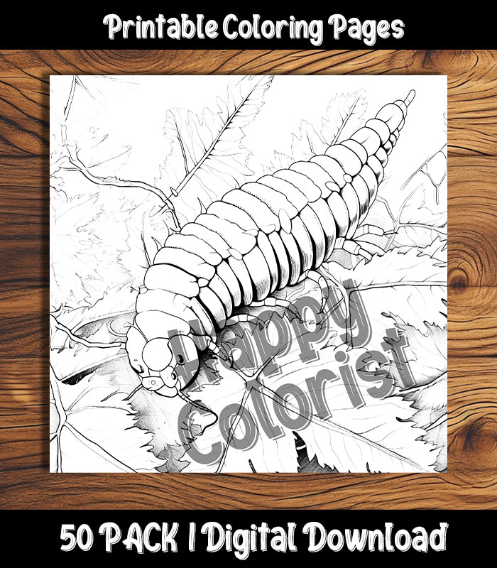Centipede Coloring Pages Digital 50 Pack | Happy Colorist