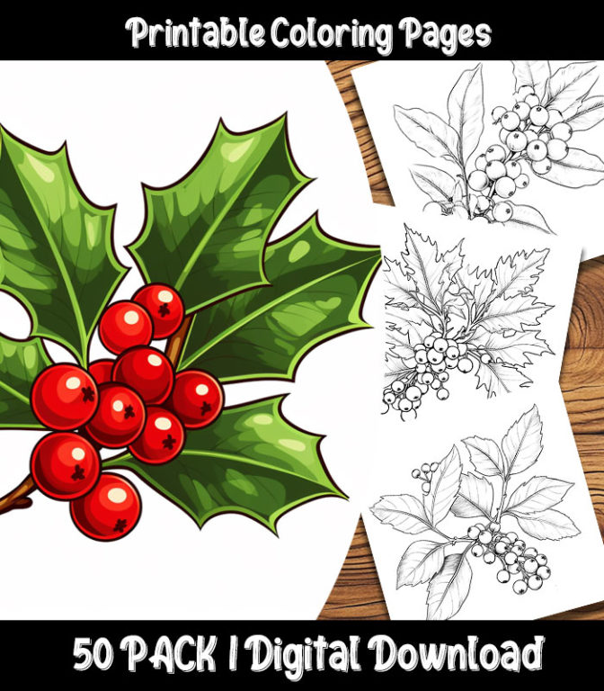 Christmas Holly Coloring Pages | The Happy Colorist
