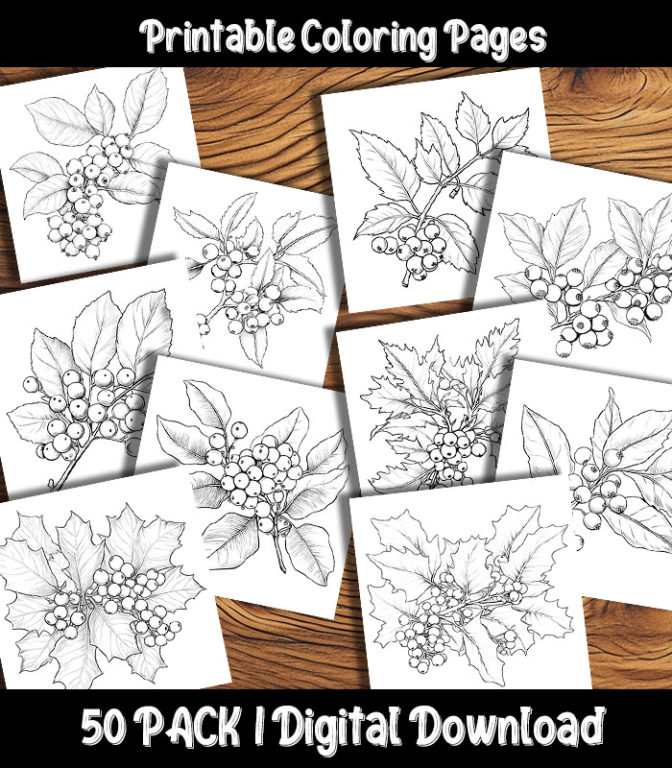 Christmas Holly Coloring Pages | The Happy Colorist