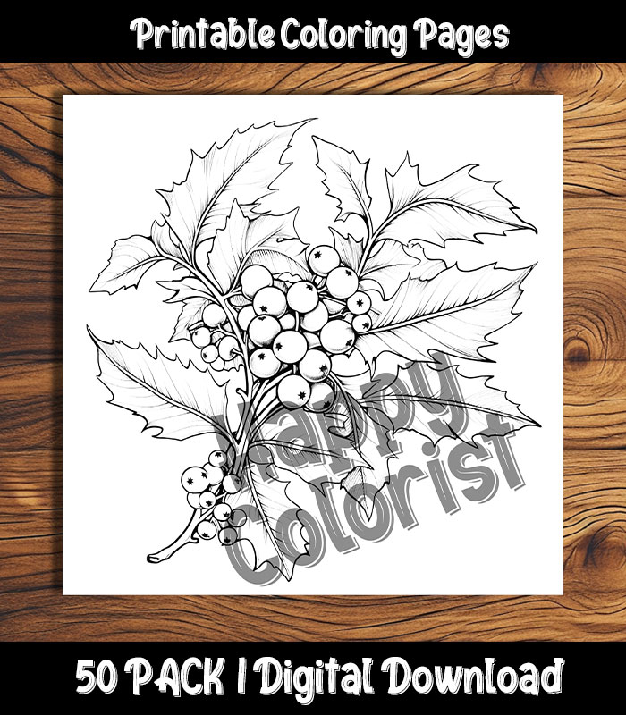 Christmas Holly Coloring Pages | The Happy Colorist